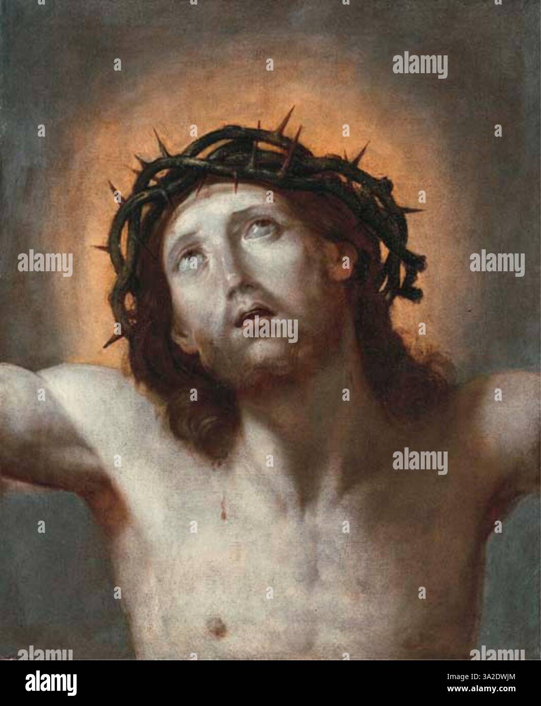 'Christ couronné d'épines' de Guido Reni présente le Christ souffrant ...