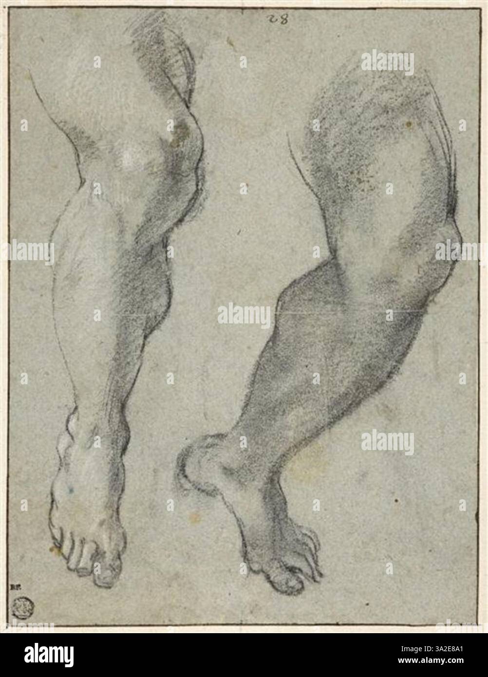 L’étude de deux jambes par Annibale Carracci met en évidence son ...