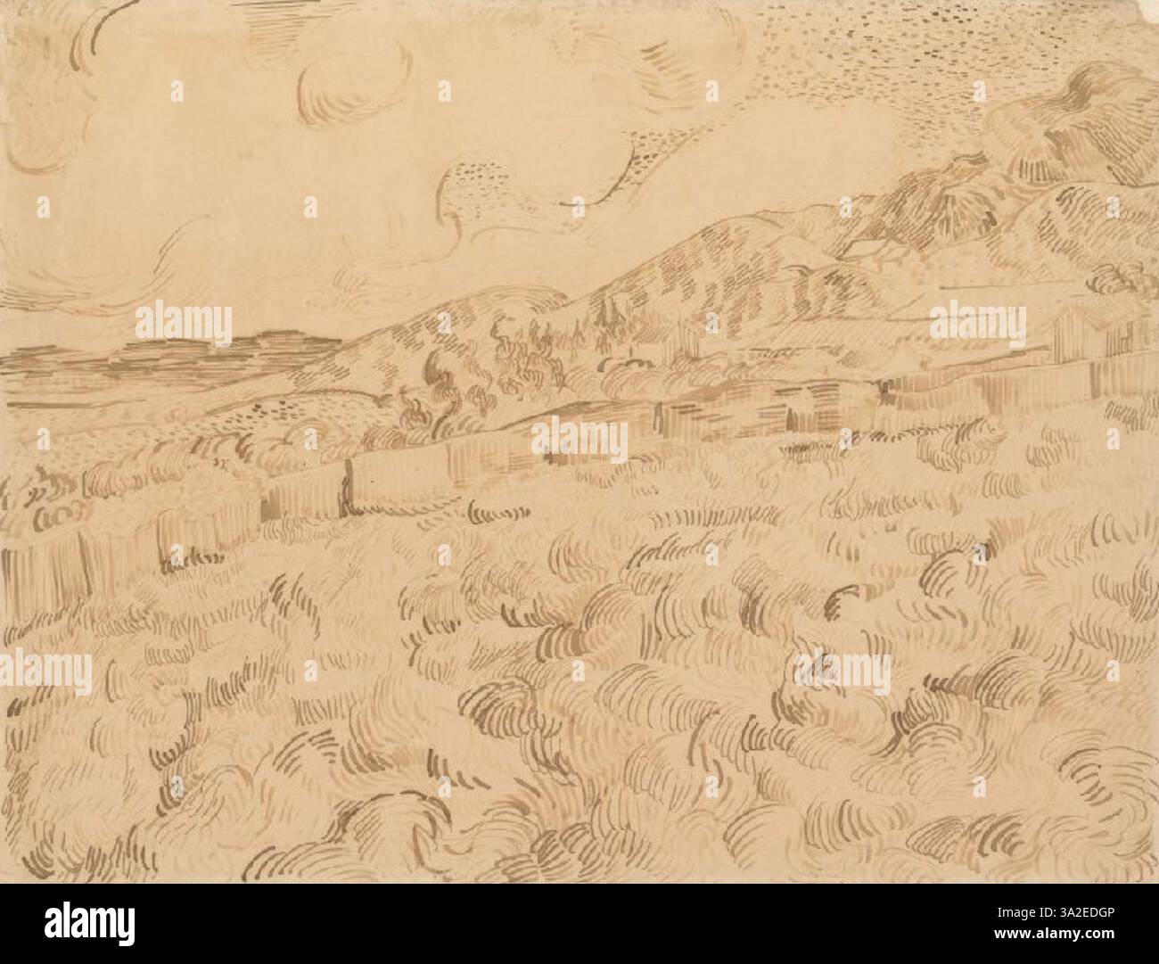 Le champ de blé clos après une tempête, un dessin de Vincent van Gogh ...