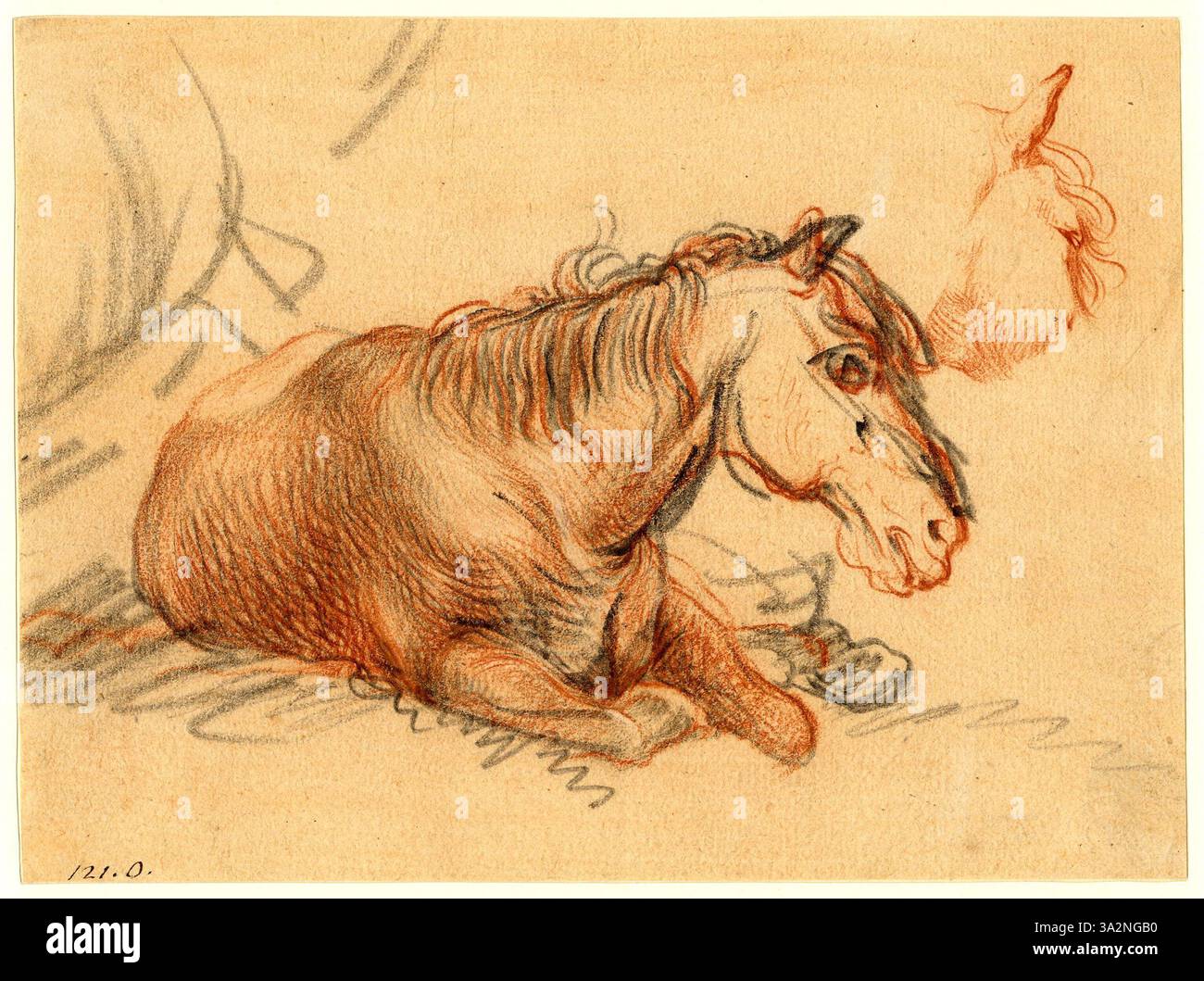 Cette œuvre attribuée montre un cheval couché avec la tête tournée vers ...