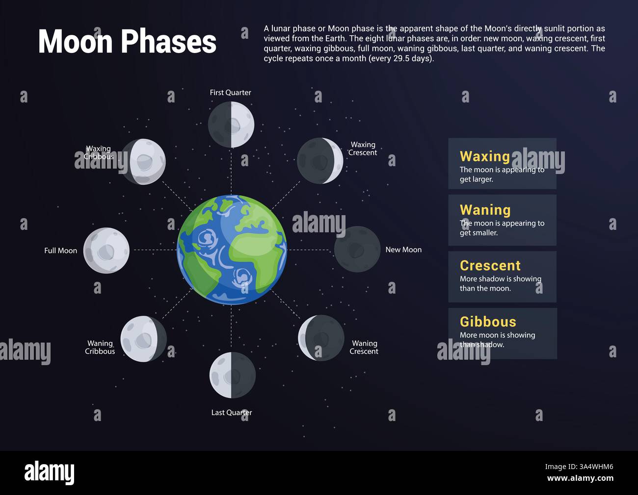 Clipart De Phases De La Lune