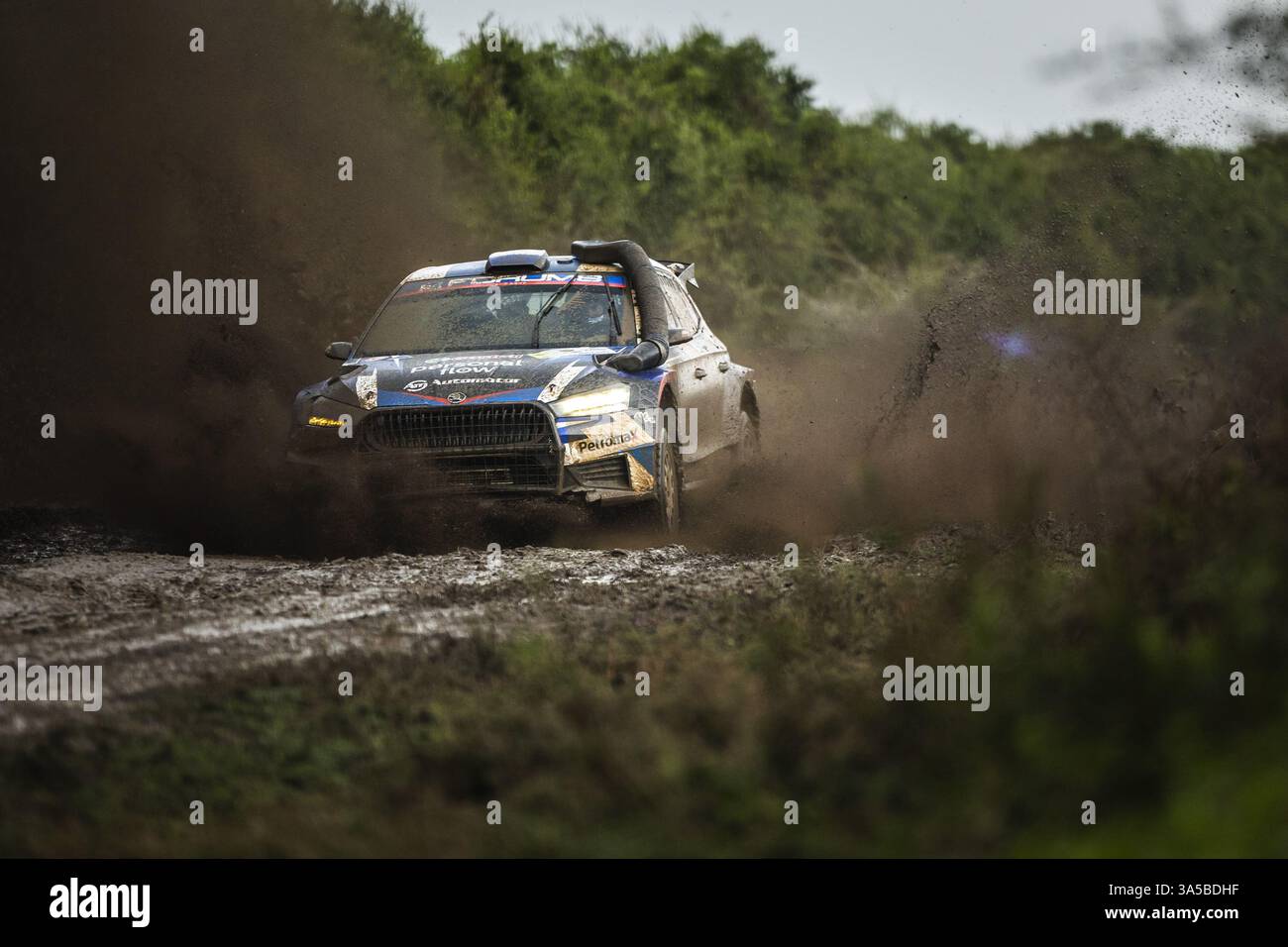 21 Fabrizio ZALDIVAR, Marcelo DER OHANNESIAN, Skoda Fabia RS Rally2 ...