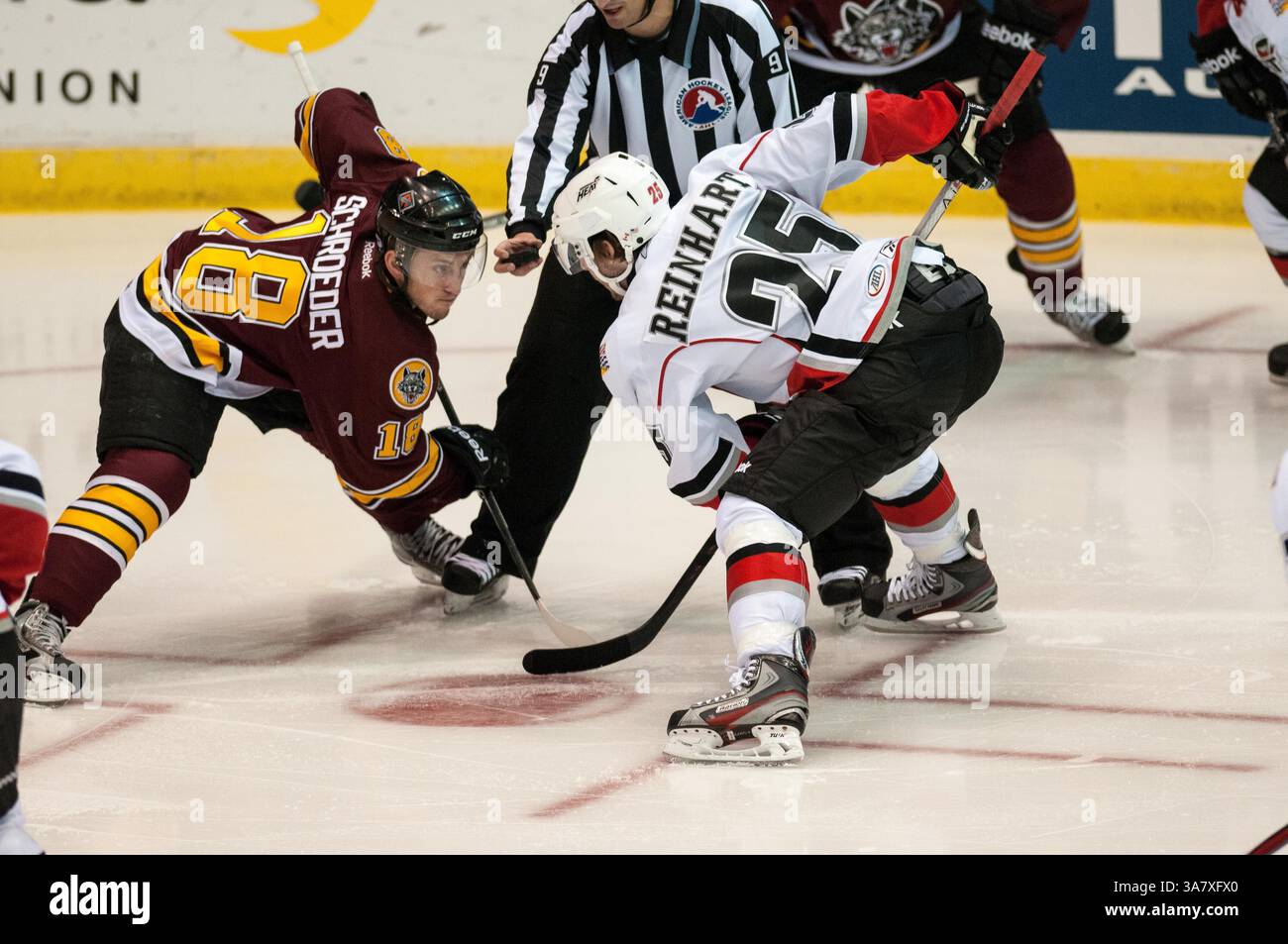 20 oct. 2012 - Abbotsford, BC, Canada - Chicago Wolves JORDAN SCHROEDER ...