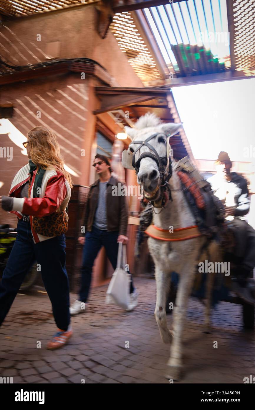 02 Jan 2025, Marrakech, Maroc - Un cheval et une calèche passant par ...