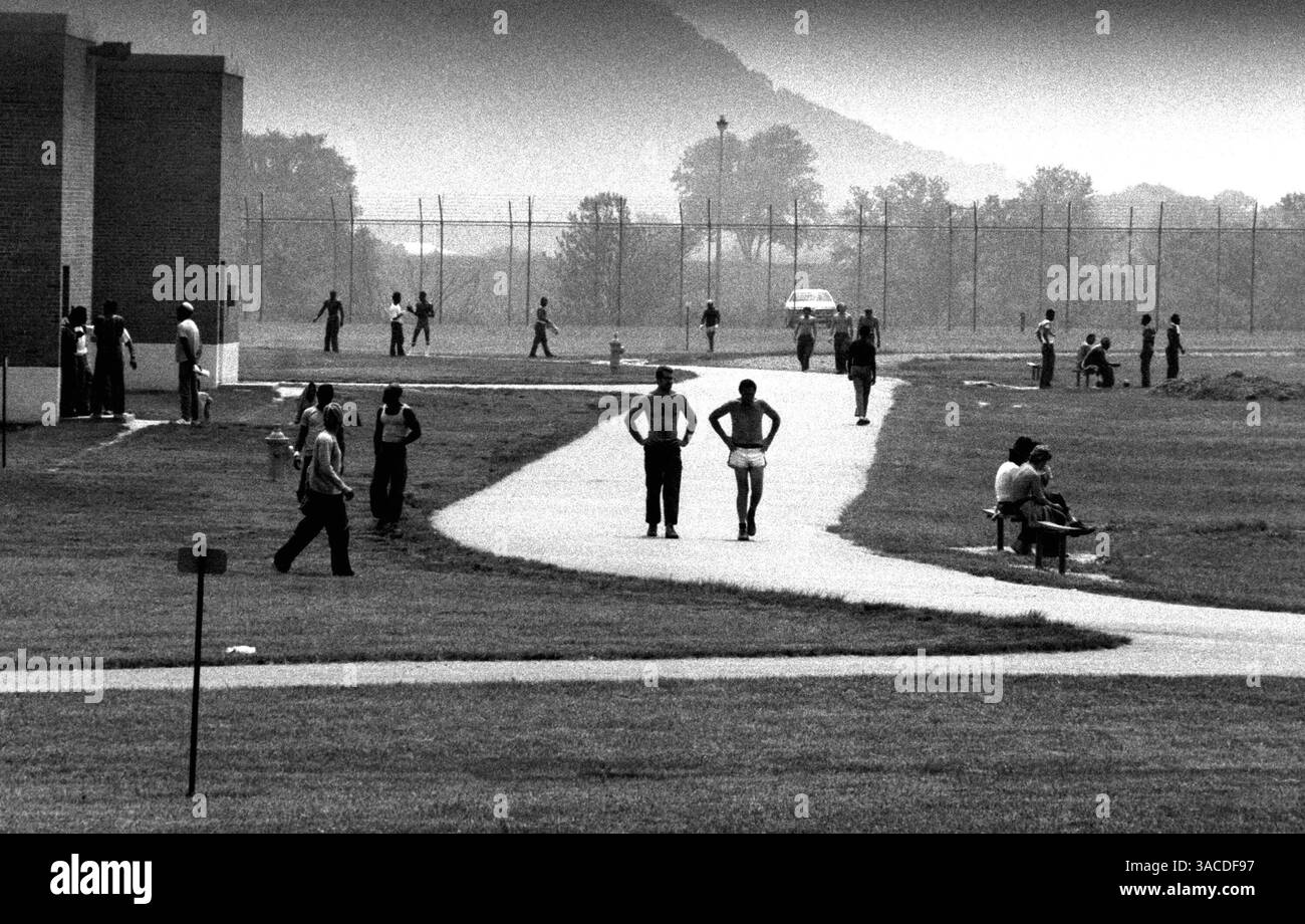 01 juin 1973 - Lucasville, Ohio, États-Unis - prisonniers dans la cour ...