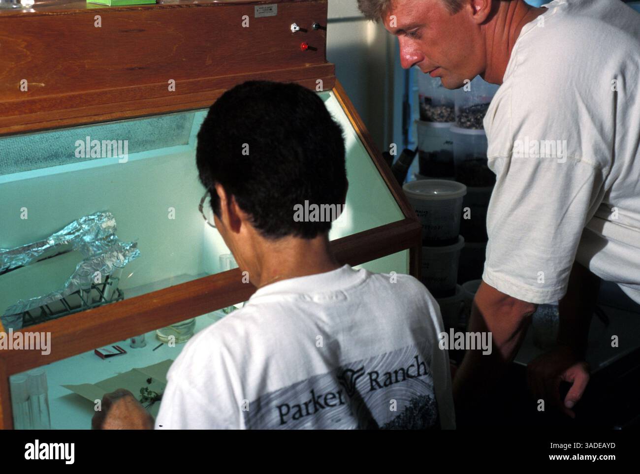 01 juil. 1996 ; Honolulu, HI, États-Unis ; (l) Dr Ruth Wong et (R) Greg ...