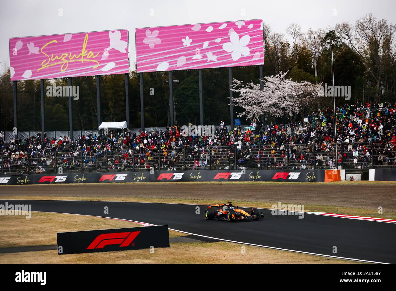 81 PIASTRI Oscar (aus), McLaren F1 Team MCL39, action lors du Grand ...