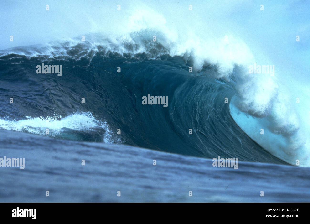 01 fév 1998 ; Baja Norte, Mexique ; Big Wave Surfing : le spot de surf ...