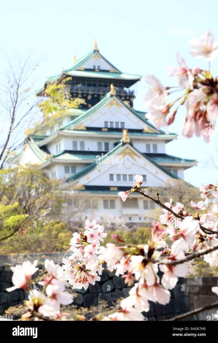 Osaka, Japon. 9 avril 2025. Le château d'Osaka, emblématique d'Osaka ...
