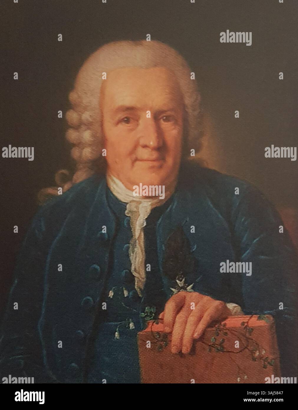 Classification des organismes vivants Banque de photographies et d ...