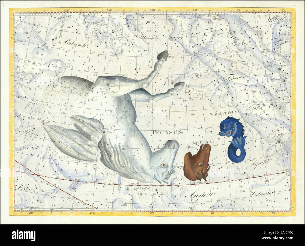 Cette carte stellaire de Johann Elert Bode de 1801 montre les ...