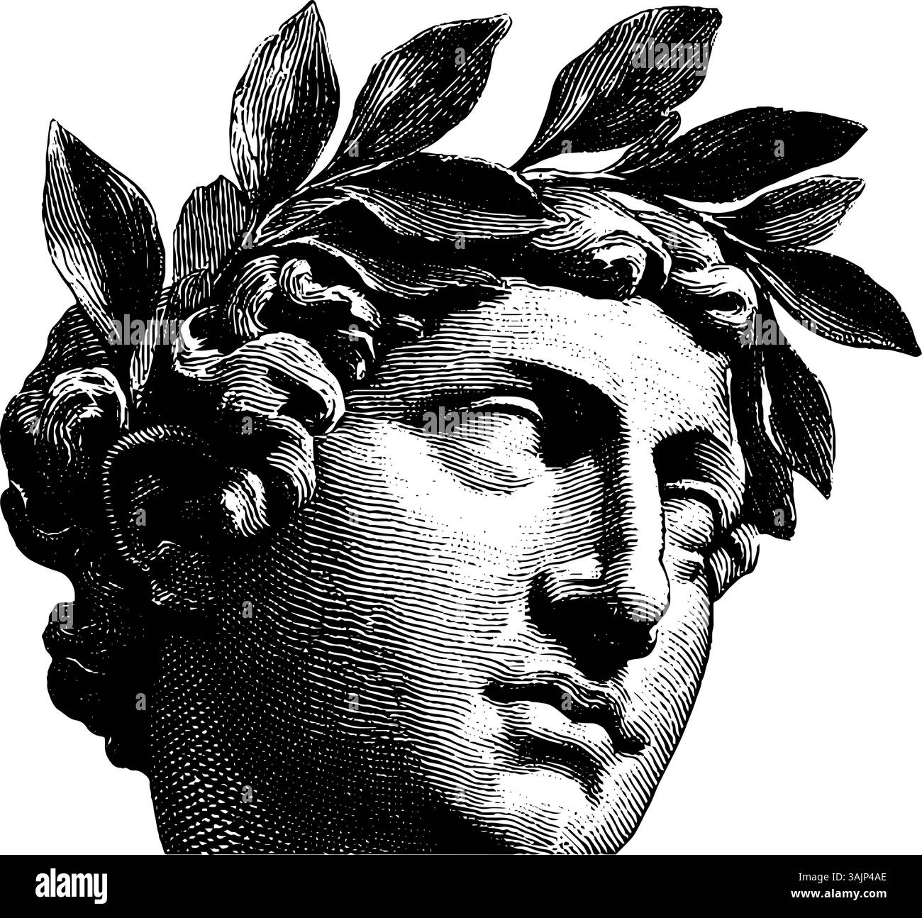 Couronne de laurier romain Banque d'images noir et blanc - Alamy