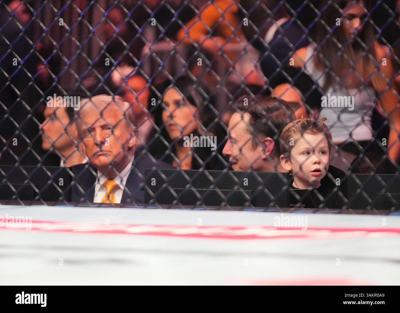 President Donald Trump, from left, Elon Musk, his son X Æ A-Xii, and ...