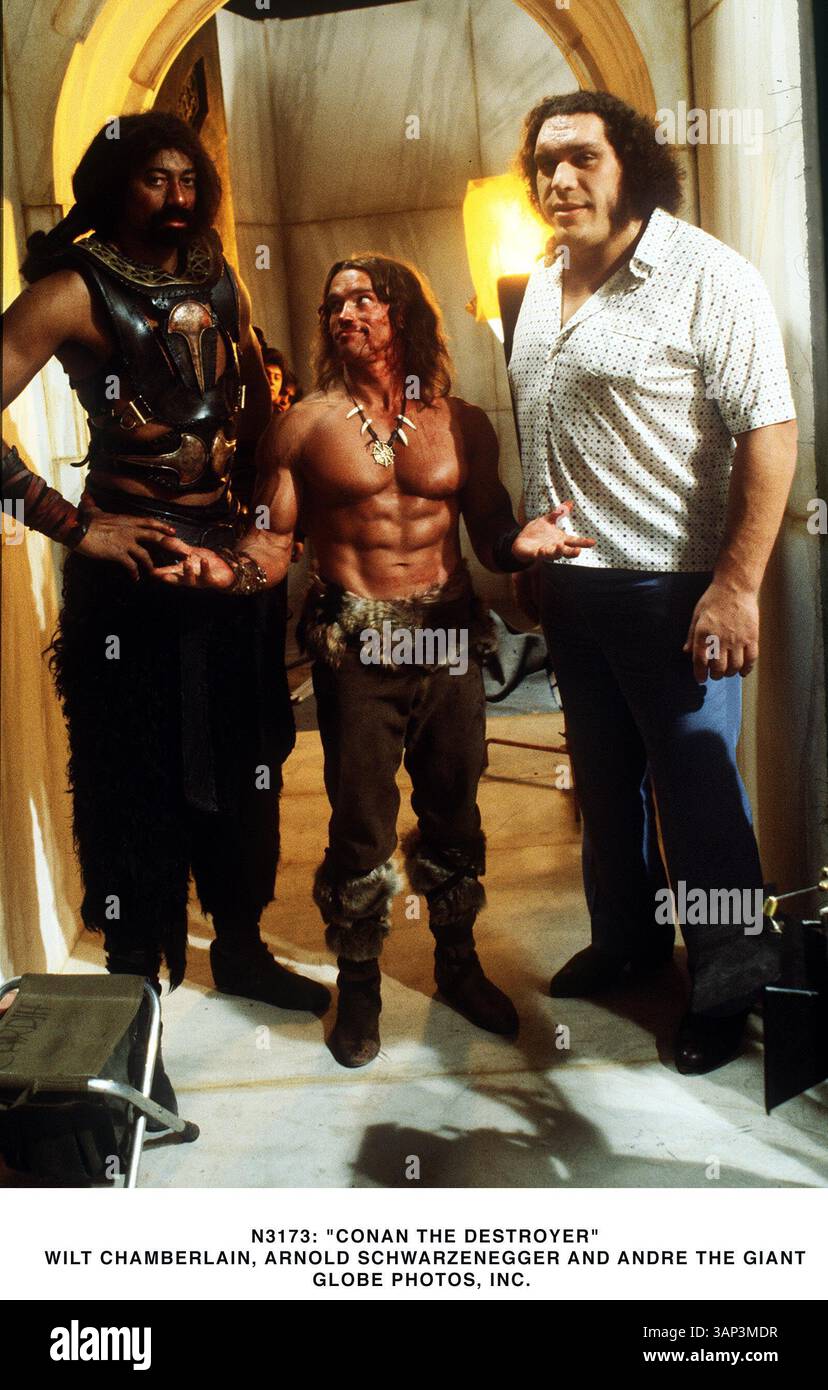 Wilt chamberlain arnold schwarzenegger conan Banque de photographies et ...