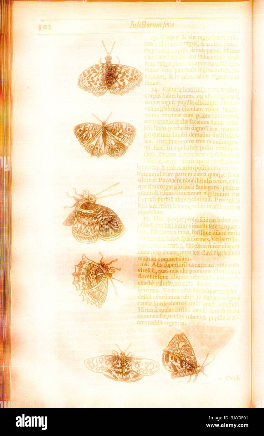 Une collection d'illustrations détaillées présentant diverses espèces ...