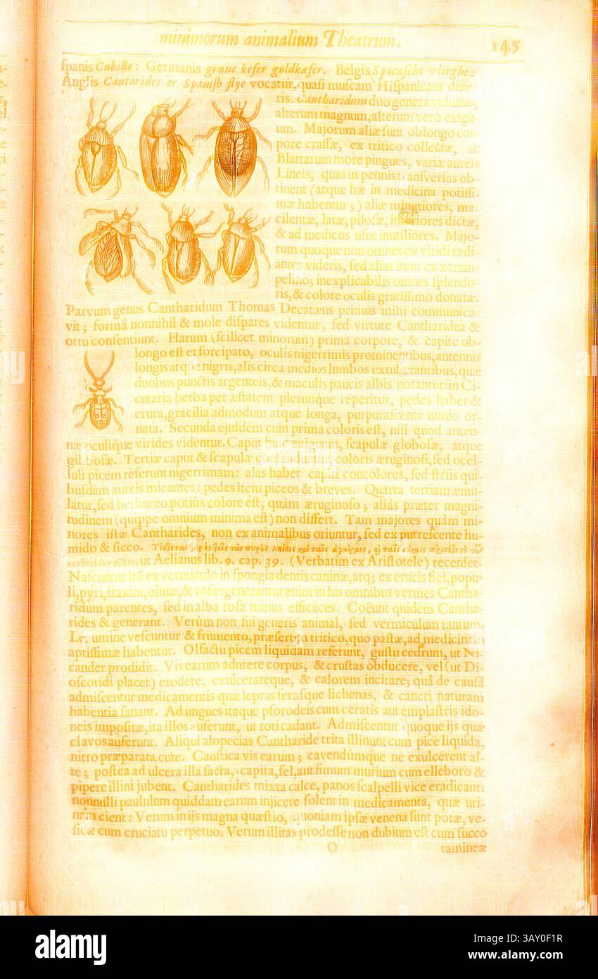 Une page illustrée présente divers coléoptères, accompagnés d'un texte ...