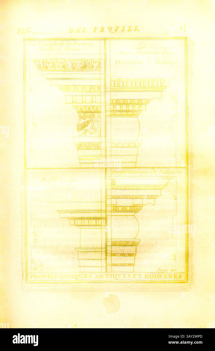 Une illustration détaillée présentant deux styles de chapiteaux de ...