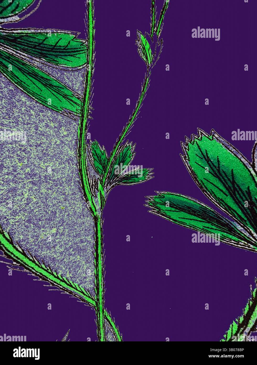 Un motif floral vibrant avec des feuilles et des tiges vertes complexes ...