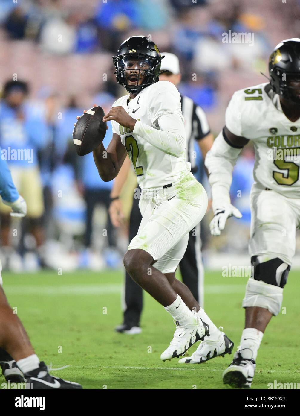 PHOTO DE DOSSIER du 24 avril 2025 : ancien quarterback des buffles du ...