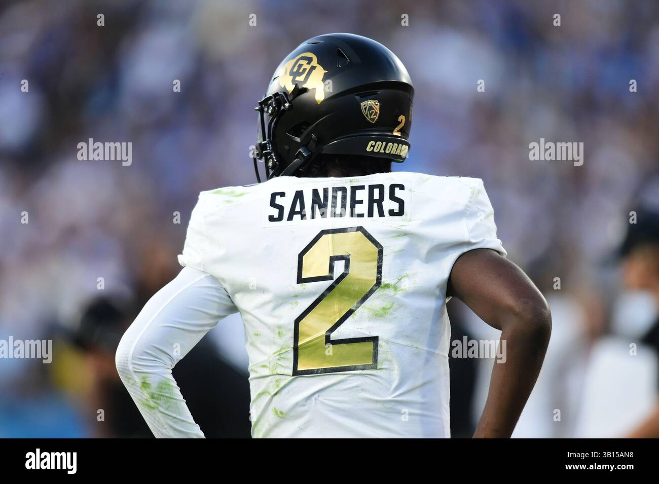 PHOTO DE DOSSIER du 24 avril 2025 : ancien quarterback des buffles du ...