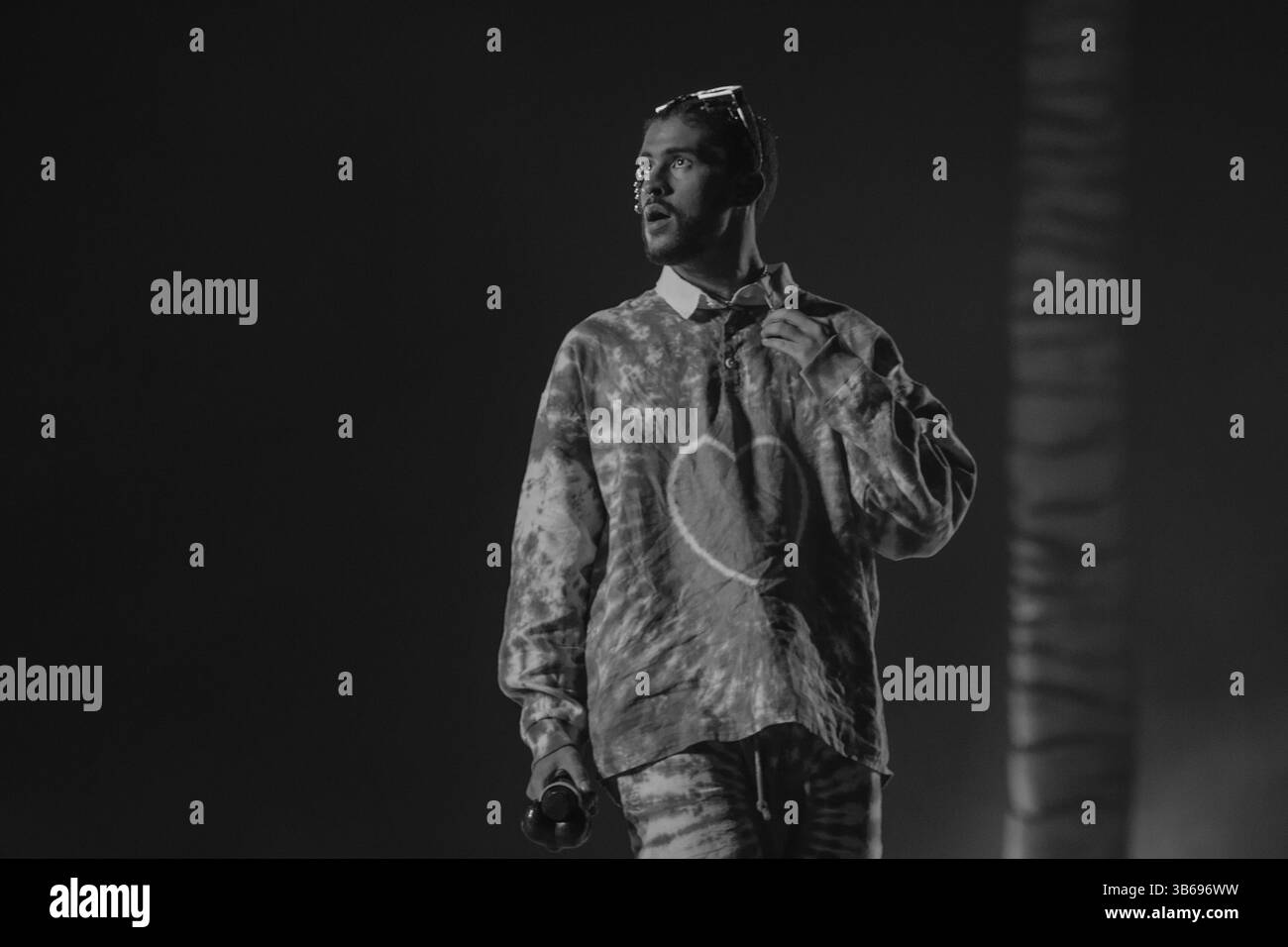 Bad bunny Banque d'images noir et blanc - Alamy