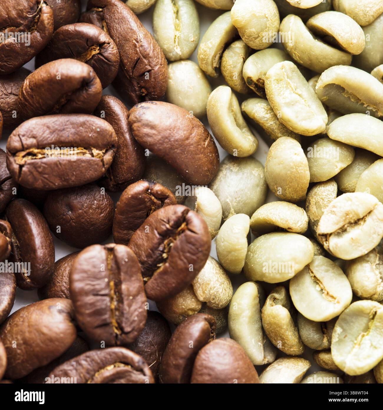 Types de vert Banque de photographies et d’images à haute résolution ...