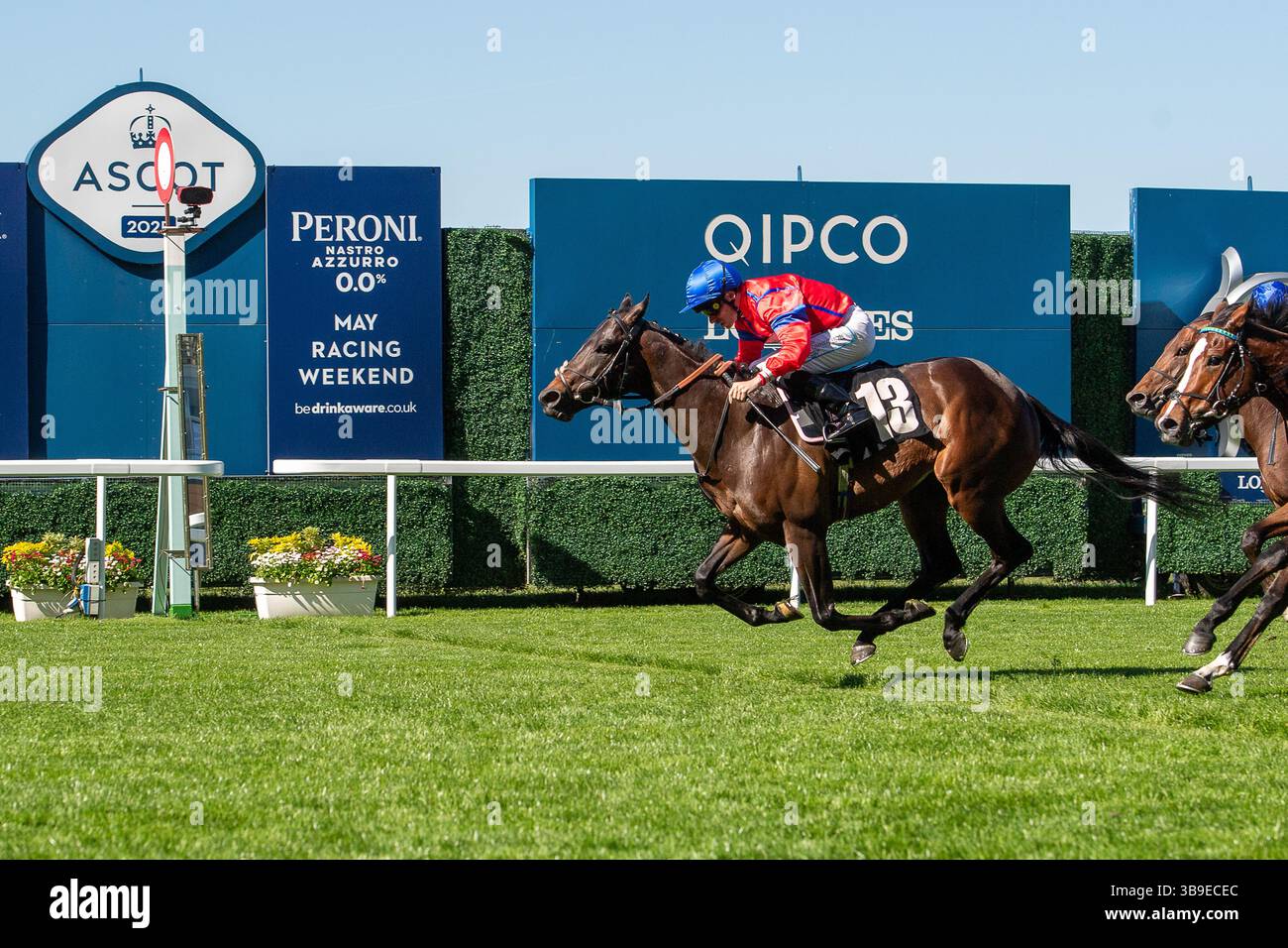 Ascot, Royaume-Uni. 9 mai 2025. Horse UP THE PACE monté par le jockey ...