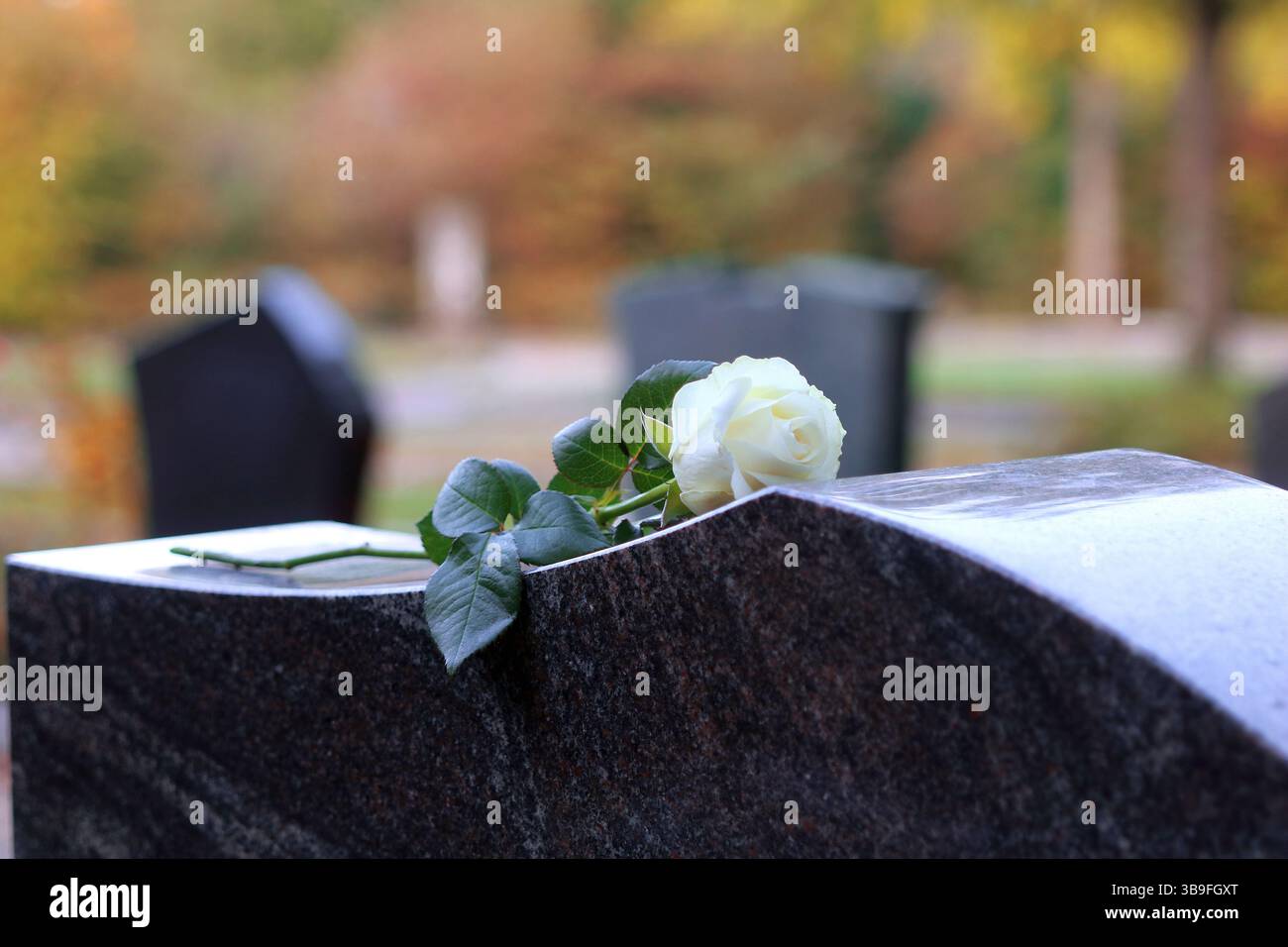 Signe deuil Banque de photographies et d’images à haute résolution - Alamy