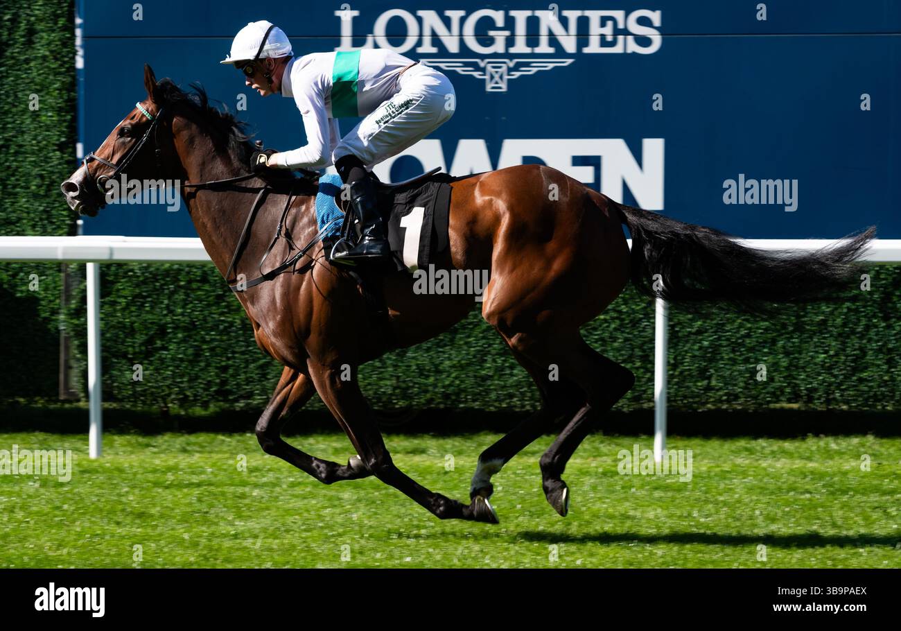 Ascot, Royaume-Uni, samedi 10 mai 2025 ; Morrophore et le jockey Luke ...