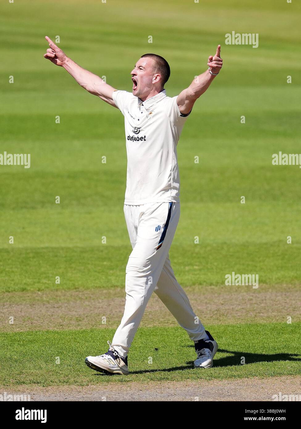 Blair Tickner du Derbyshire célèbre le guichet de Keaton Jennings du ...