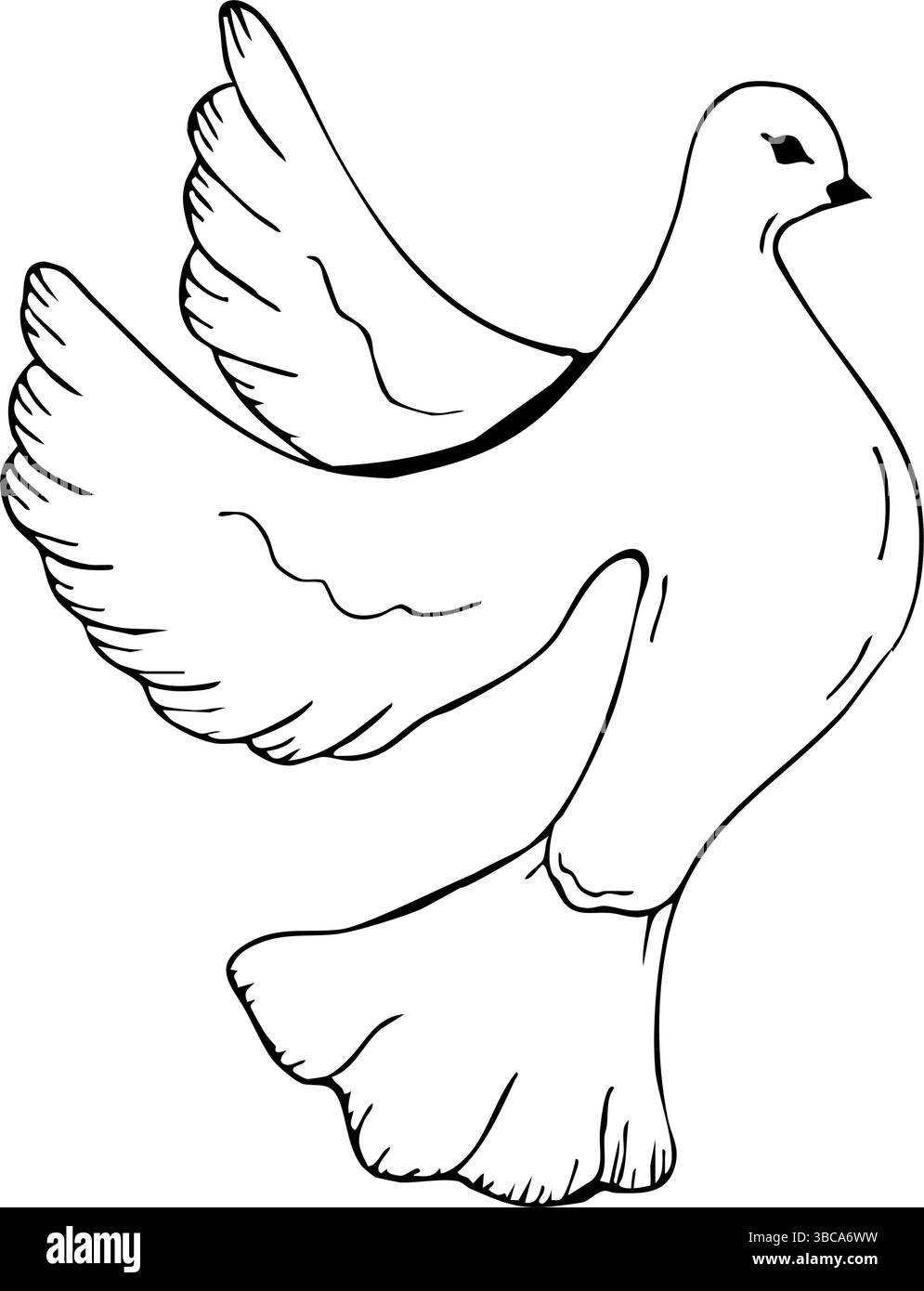 Colombe voler symbole d'amour de mariage Banque d'images noir et blanc ...