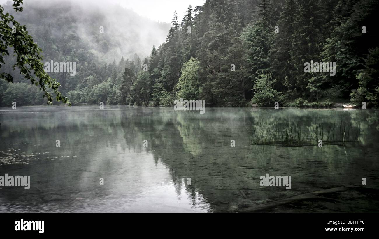 Lake alpsee Banque de photographies et d’images à haute résolution - Alamy