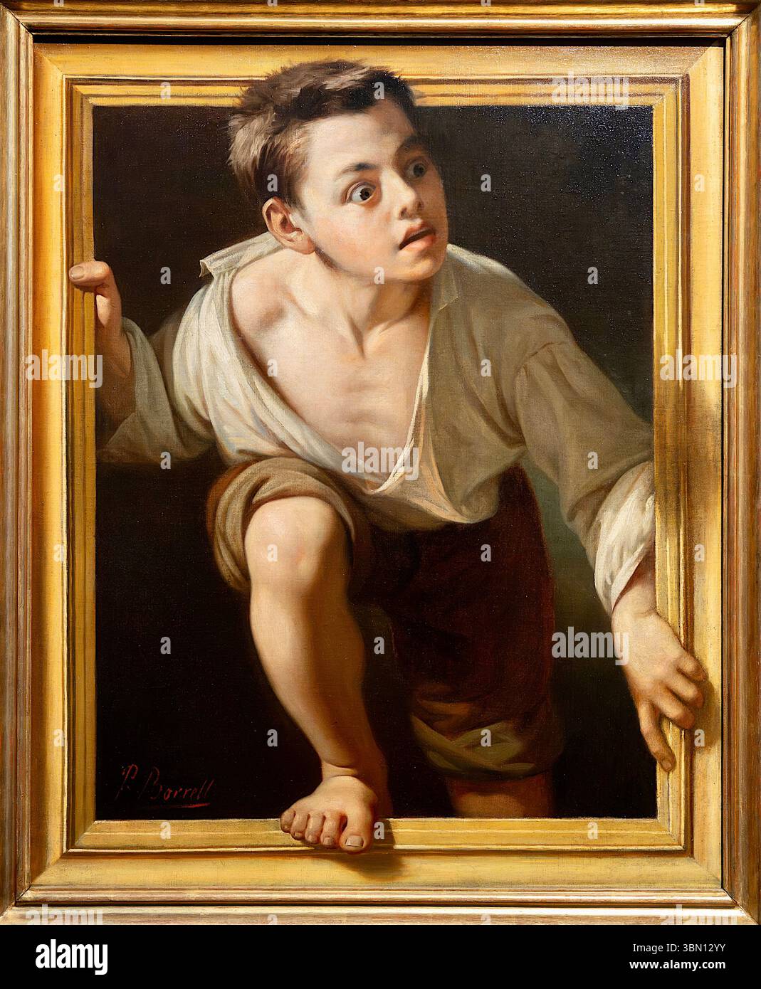 Borrell del caso Banque de photographies et d’images à haute résolution ...