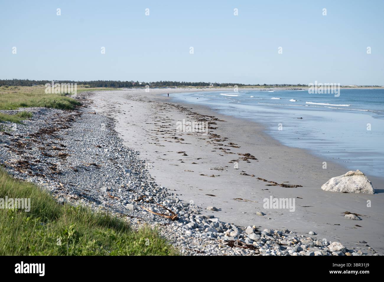 03 juin 2025, Canada, Clark's Harbour : poussettes sur la plage Hawk ...