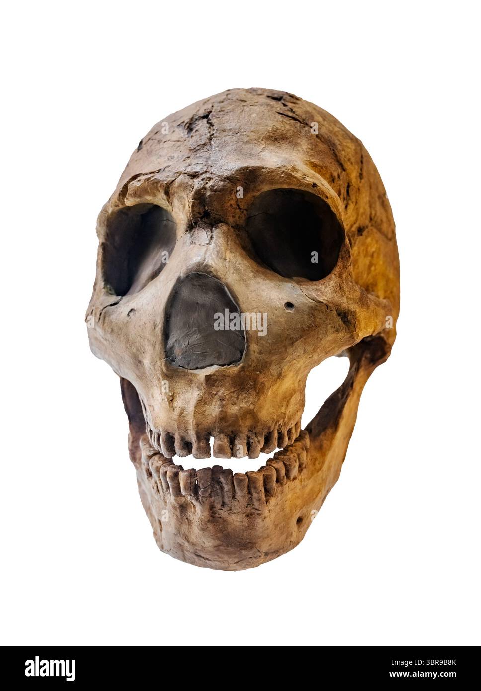Homo sapiens préhistoire Banque de photographies et d’images à haute ...