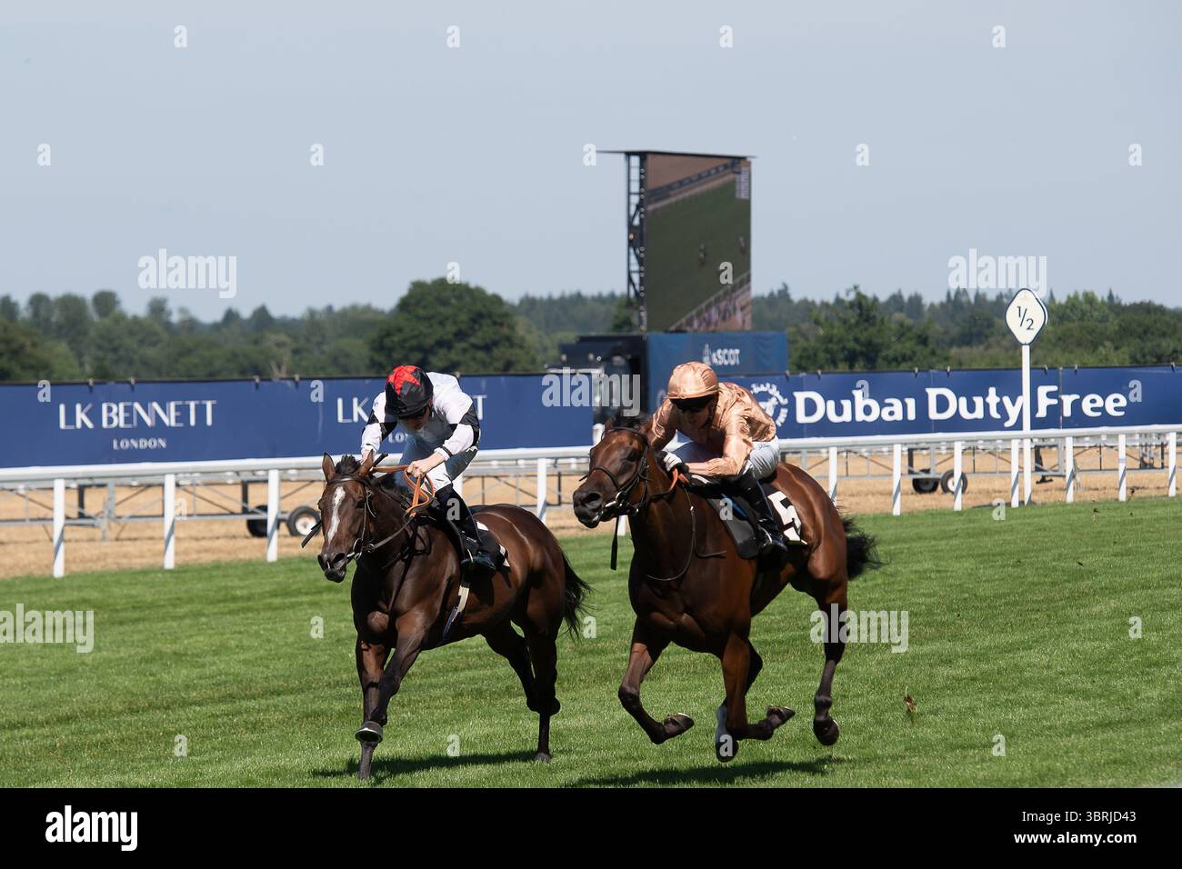 Ascot, Berkshire, Royaume-Uni. 12 juillet 2025. Cheval CHIRINGITA (R ...