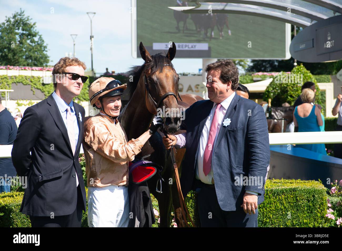 Ascot, Berkshire, Royaume-Uni. 12 juillet 2025. Cheval CHIRINGITA monté ...