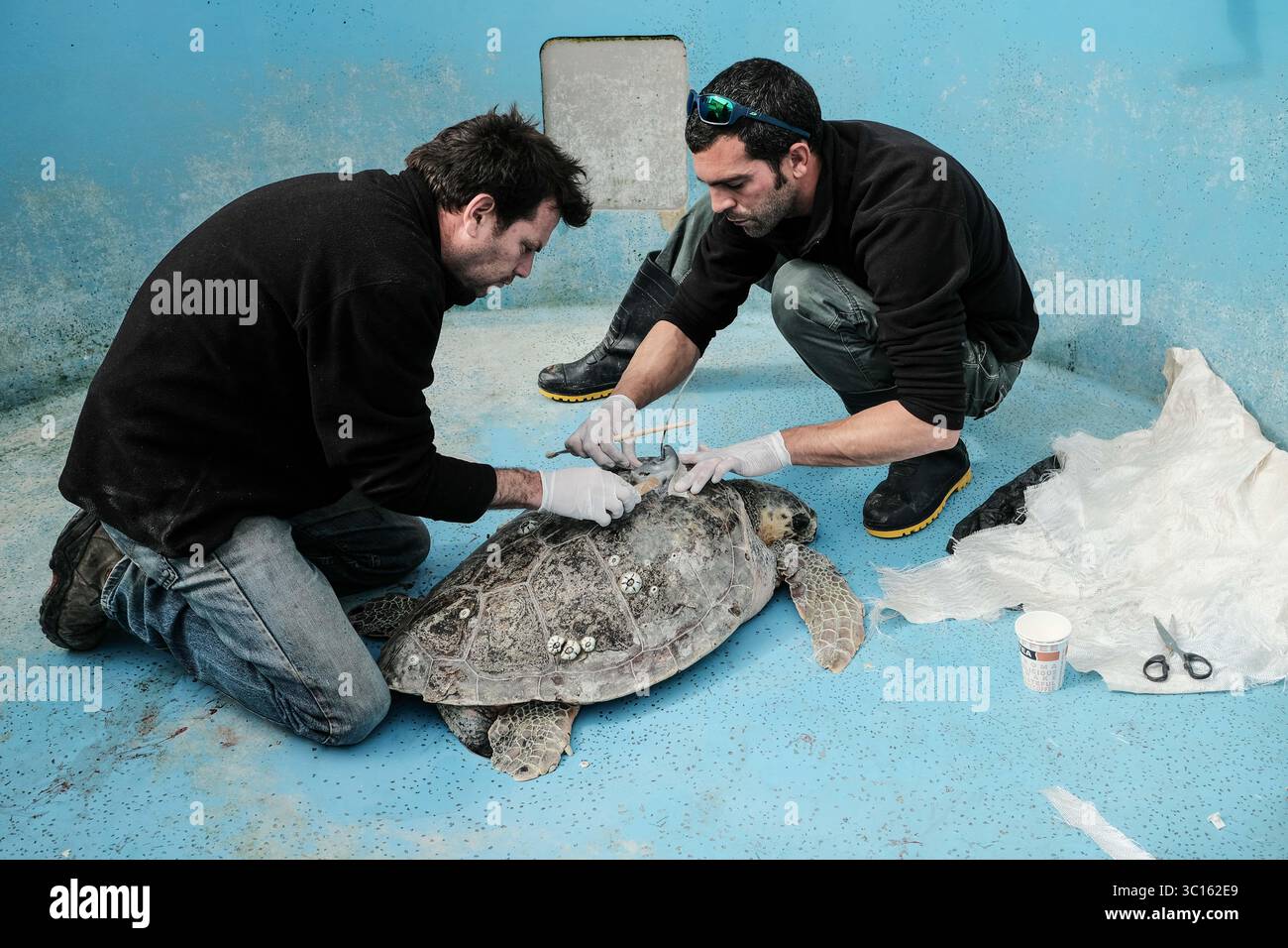 20 janvier 2019 - Mikhmoret, Emek Hefer Reional Council, Israël - le ...