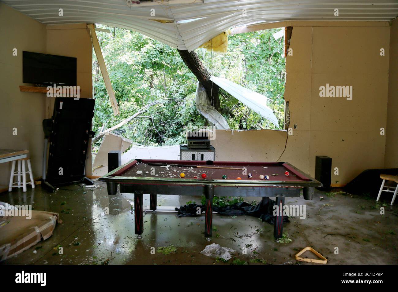 David bogema Banque de photographies et d’images à haute résolution - Alamy