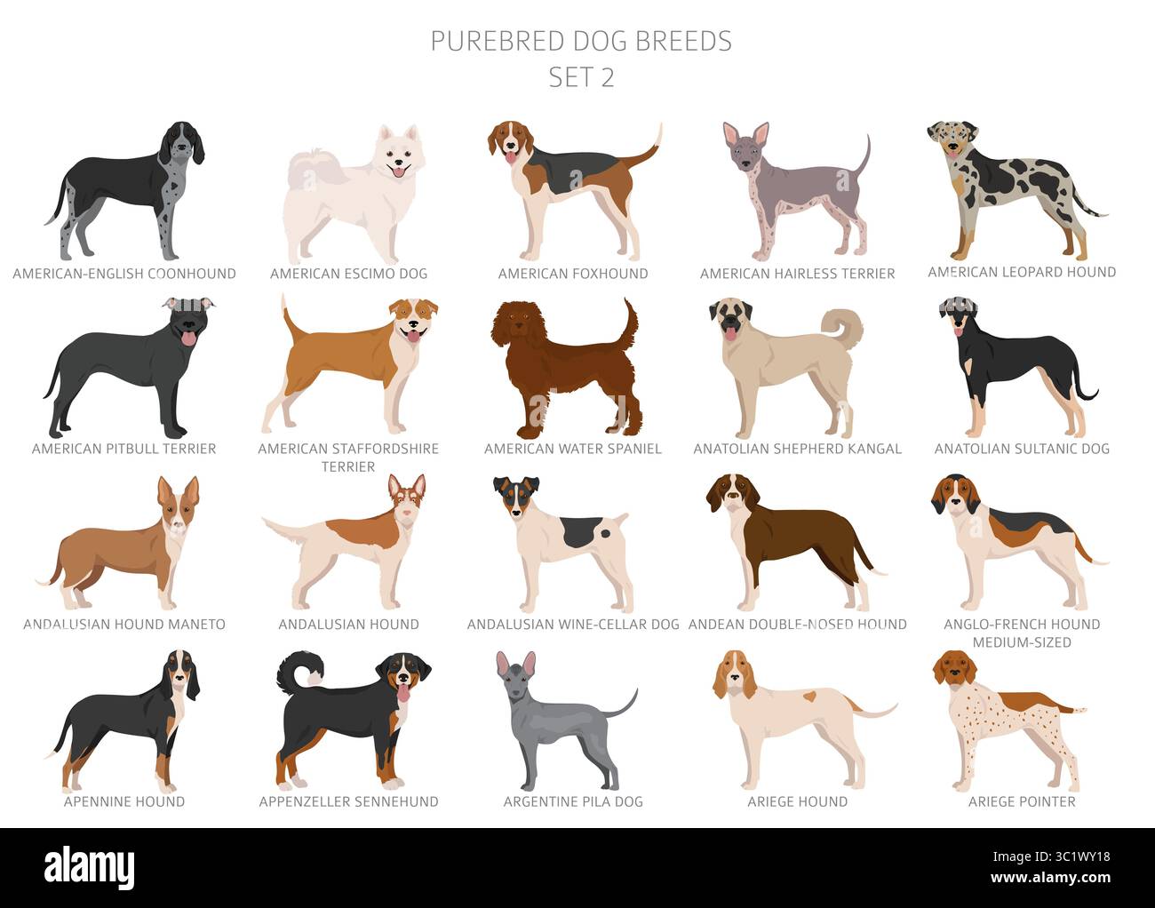 Collection de toutes les races de chiens. Collection en 28 sets. Image ...