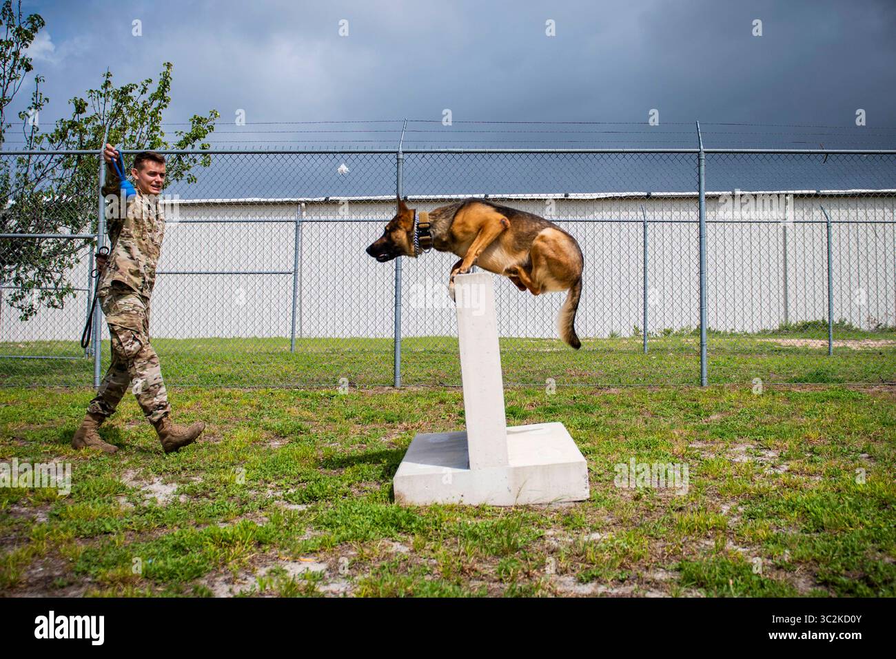 20 juin 2019 - base aérienne de Tyndall, Floride, États-Unis - le ...