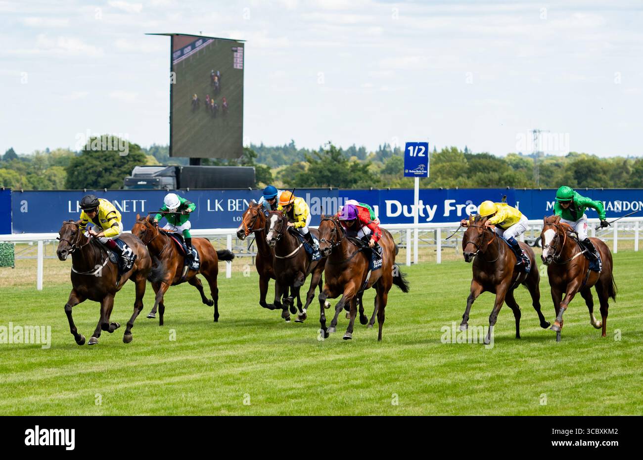 Ascot, Royaume-Uni, samedi 9 août 2025 ; Vintage Clarets et le jockey ...