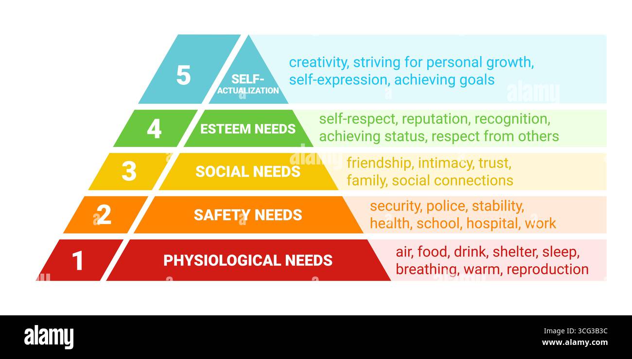 La pyramide de Maslow. hiérarchie des besoins humains, du plus bas au ...