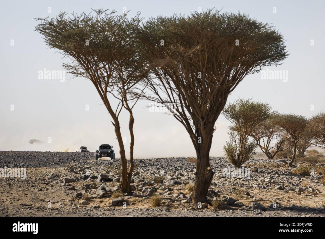 333 FONT Joan (esp), GUILLEM Adria (esp), BE Racing, BRP, Challenger ...