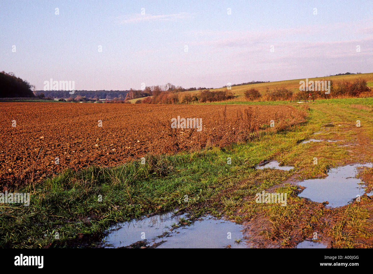 Bataille de flers courcelette Banque de photographies et d’images à ...