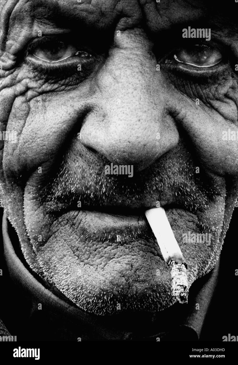 Berger roumain Banque d'images noir et blanc - Alamy