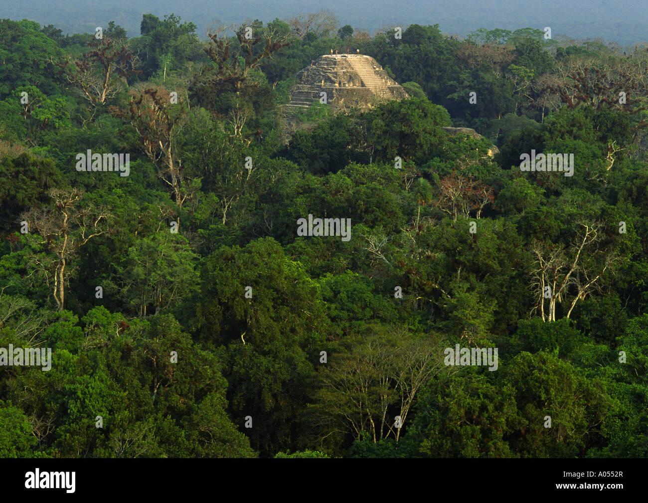 Pyramide en El Mundo Perdido, Tikal, El Petén, Guatemala Photo Stock ...