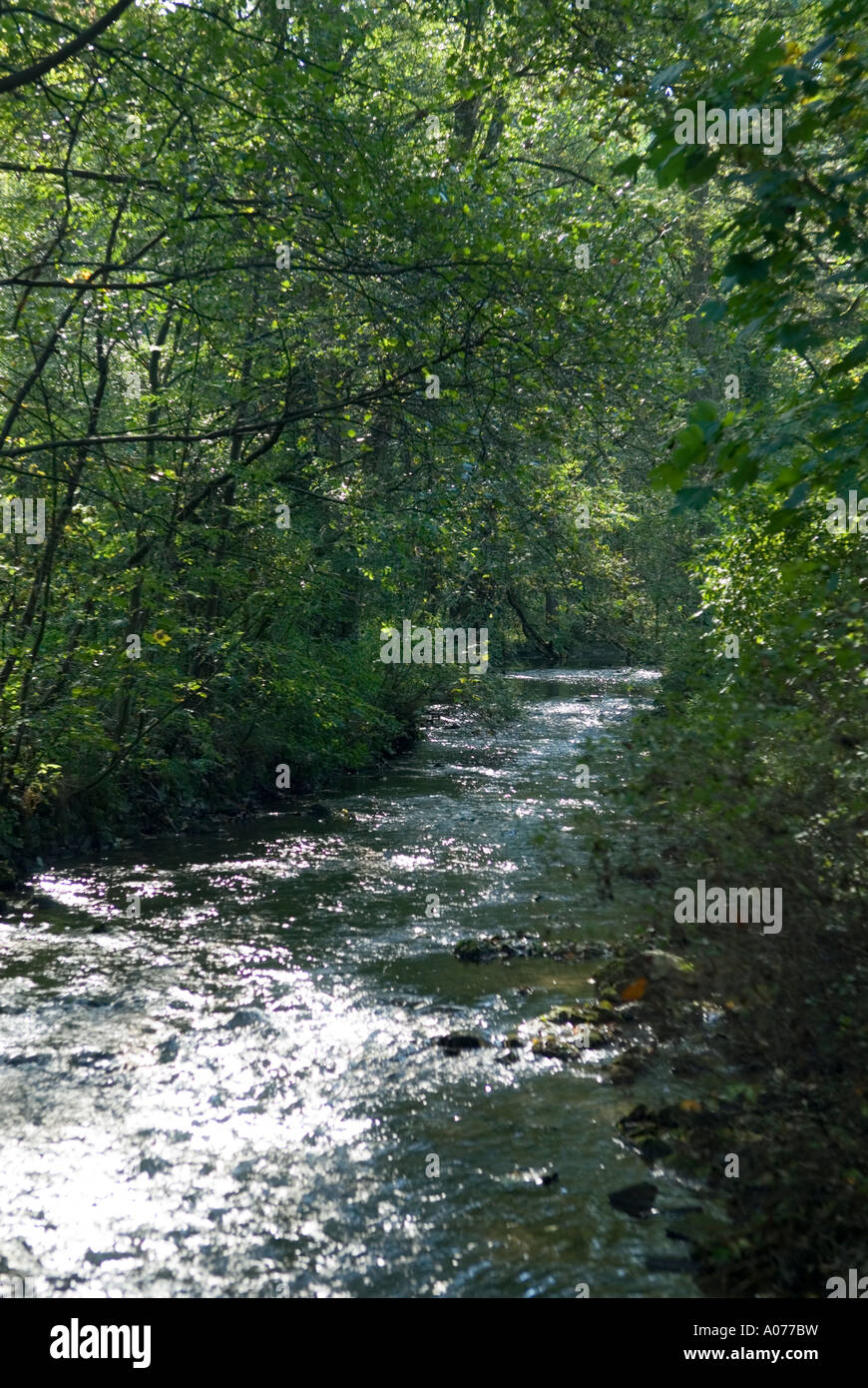 Neander valley Banque de photographies et d’images à haute résolution ...