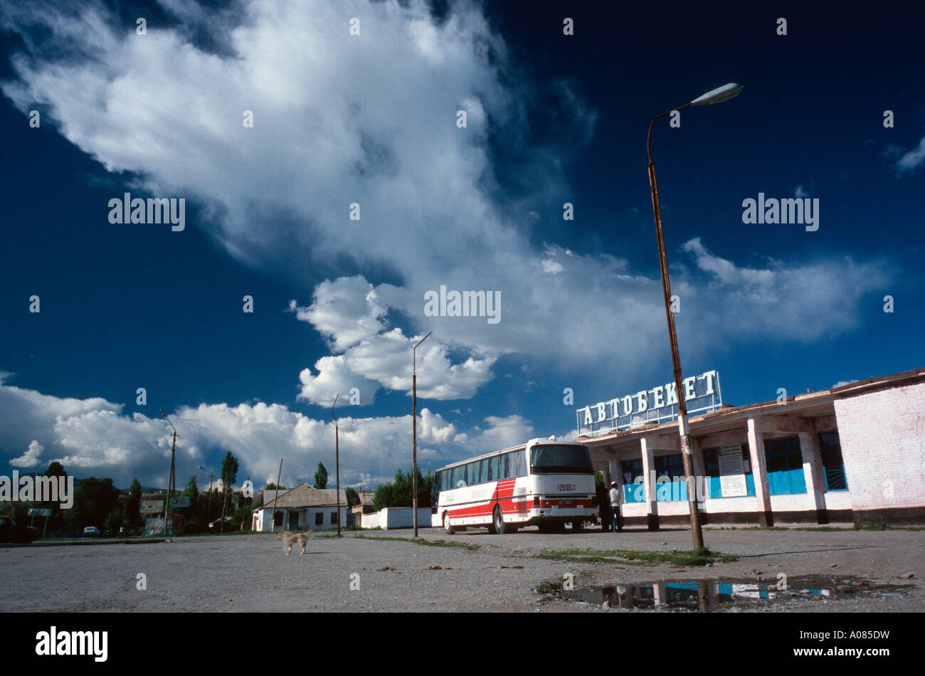 Bus en attente dans le terminal Banque de photographies et d’images à ...