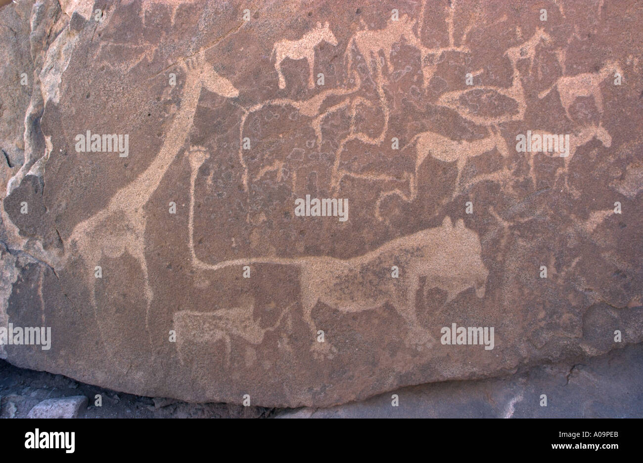 Gravures art Banque de photographies et d’images à haute résolution - Alamy